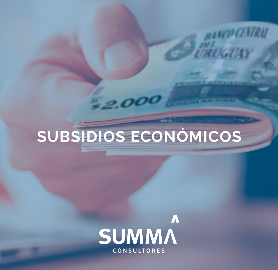 Subsidios - SUMMA CONSULTORES